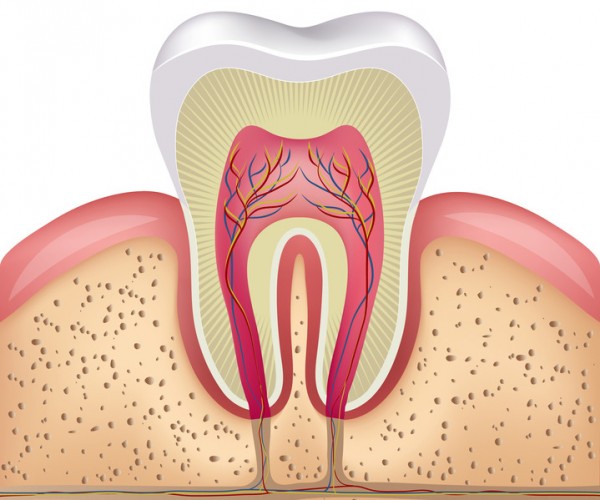 Qu’est-ce qu’un traitement de racine ? | Dentagora